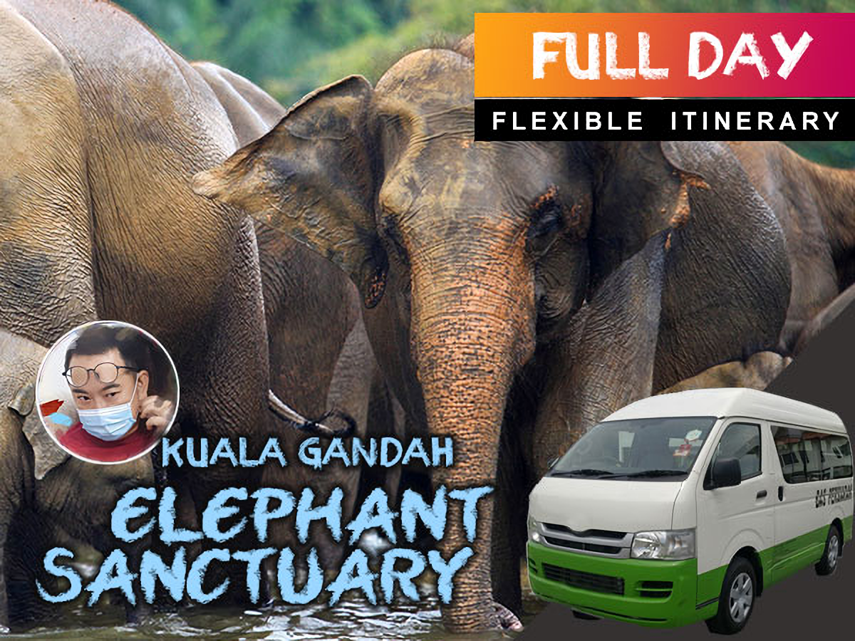 #42GVF: Full-Day Kuala Gandah National Elephant Conservation Centre ...