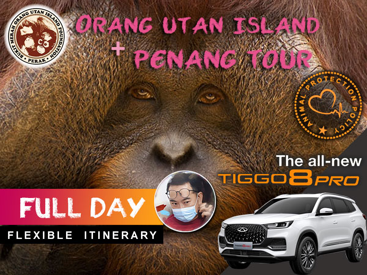 #21UCF: Full-Day Orang Utan Island + Penang Heritage Tour (by SUV ...